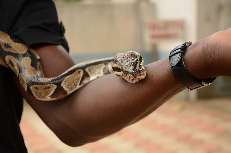 Que faire au Bénin : Les villes incontournables du Bénin - Libre voyageur